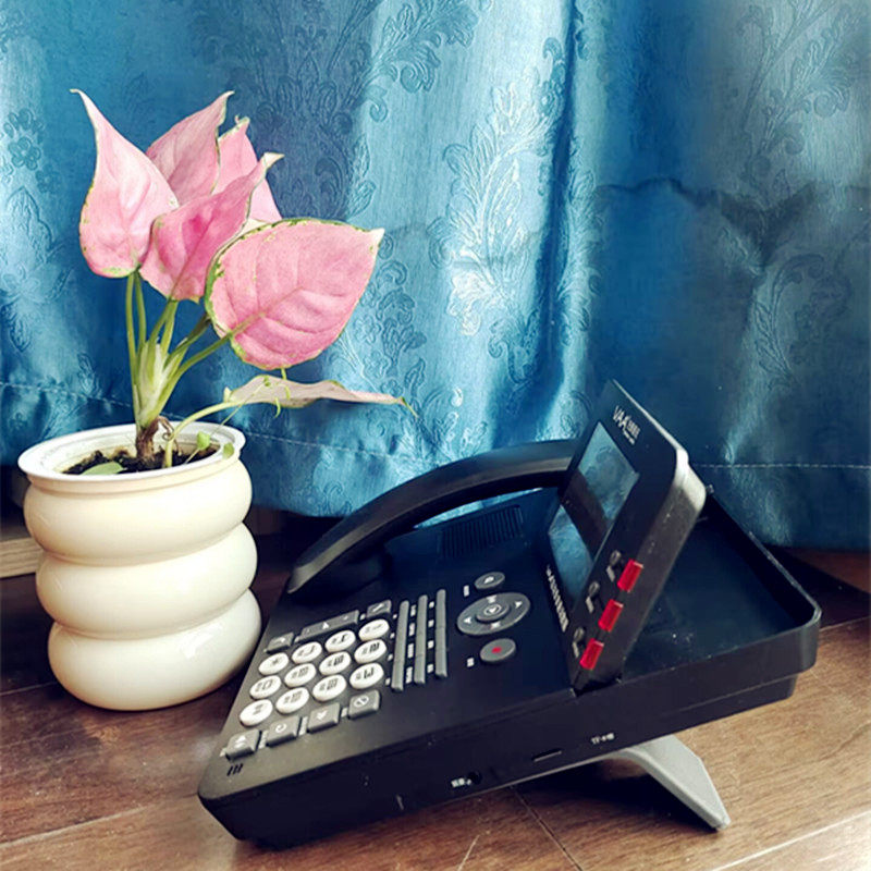 先锋芯片录音电话机VAA-CPU310/610/1510：抓住特价机会，开启高效通话新纪元！🎧💡-电话机有绳-淘宝百科网