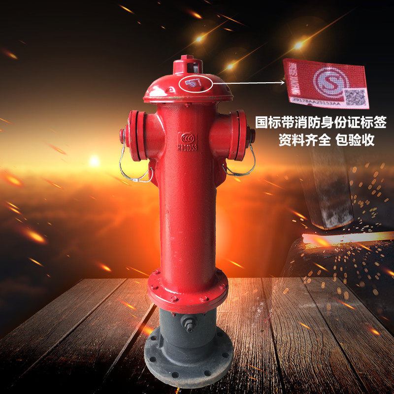 SS100 65-1.6 Ground Type Fire Hydrant Ground Hydrant Outdoor Fire ...