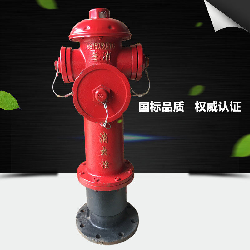 SS100 65-1.6 Ground Type Fire Hydrant Ground Hydrant Outdoor Fire ...
