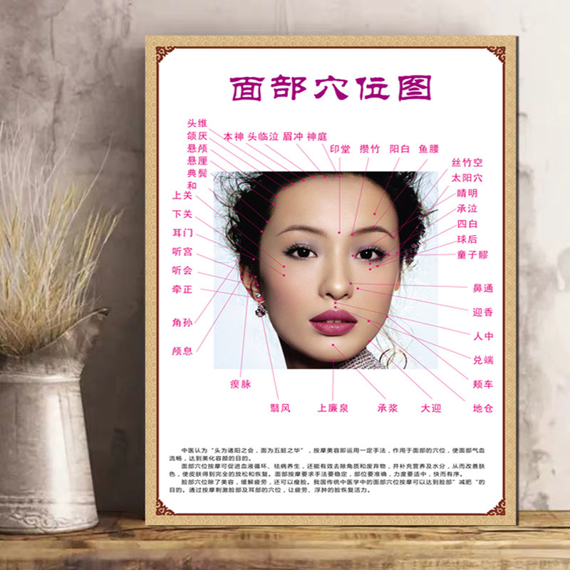[USD 8.26] Picture of the beauty wall chart of the face of the ...
