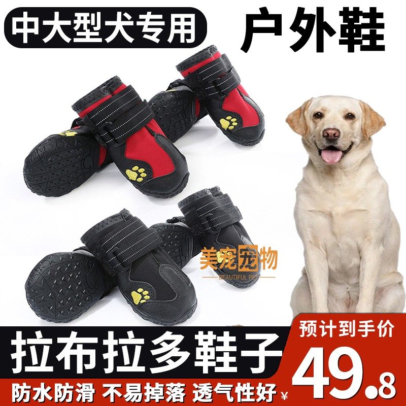 Exclusive sandals for labradors: waterproof, new fashion for walking ...