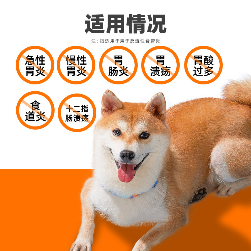 宠物健康守护神！普安特猫咪狗狗炎症药+西咪替丁，解决腹痛呕吐不再难！-猫消化道疾病药品-淘宝好物网