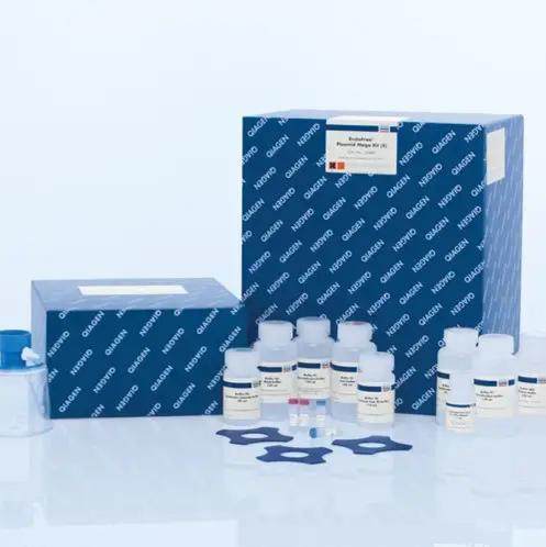 Qiagen 69104 植物基因组DNA小提试剂盒DNeasy Plant Mini Kit