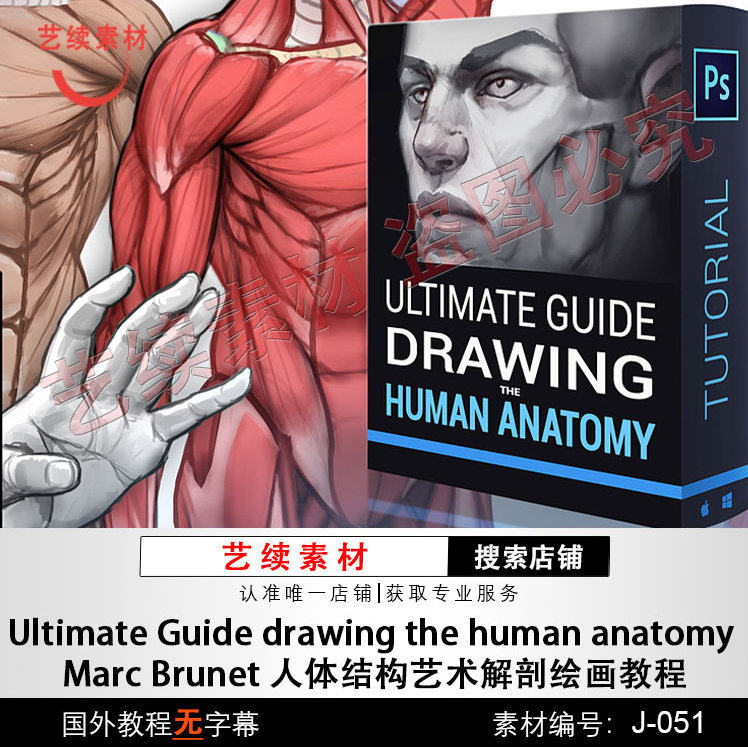 Ultimate Anatomy Marc Brunet 人体构造解剖绘画视频附PSD素材