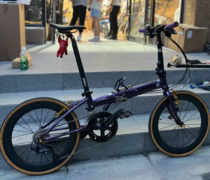 🚴‍♀️折叠自行车界的颜值担当！DAHON 大行 P18 升级版紫色 SP18 彩色碳纤维轮组，带你畅游城市绿道！🌈-折叠自行车-淘宝好物网