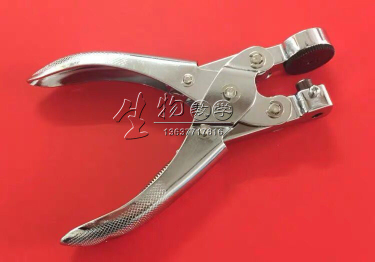 [USD 26.03] Mouse ear slicing tongs Mouse ear swollen ear punch Mouse ...