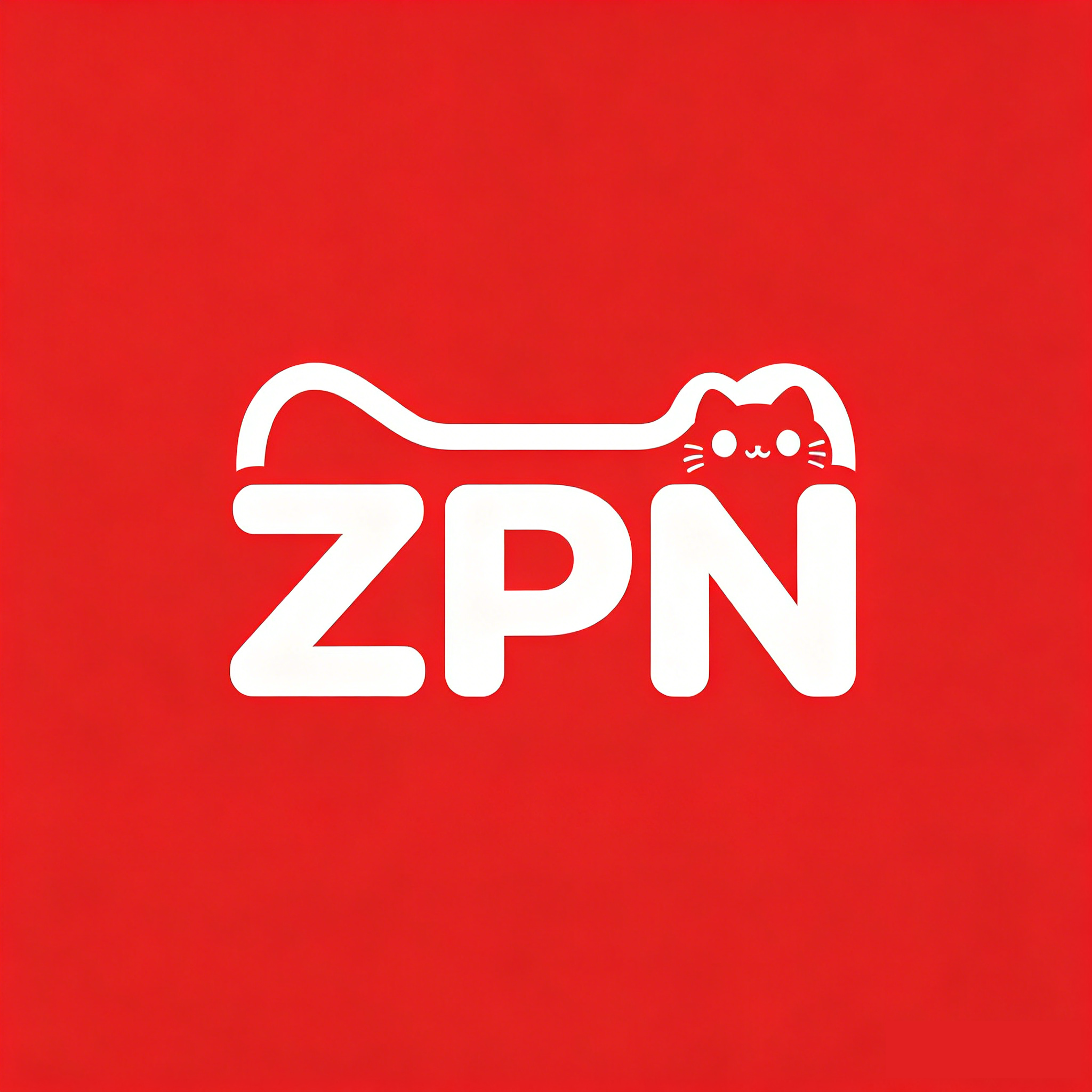 zpn旗舰店