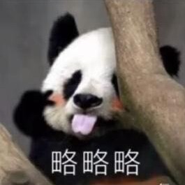 多喝水ohh