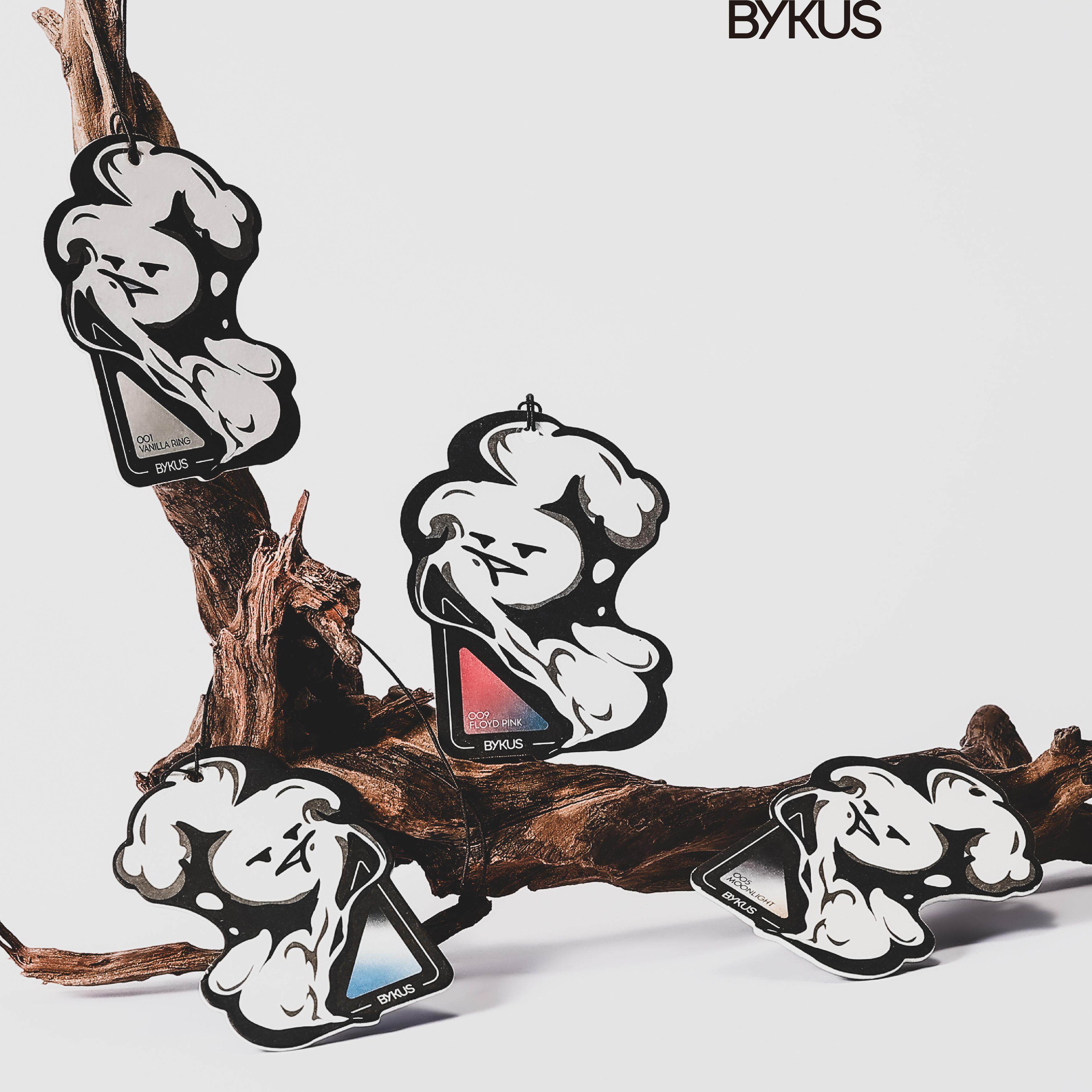 BYKUS车载香片｜车内空气救星！香到邻居都来问链接！-香薰卡片-淘宝好物网