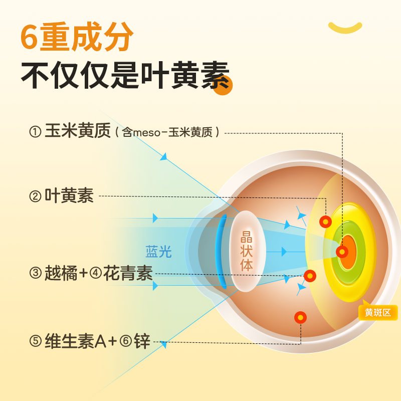 witsbb健敏思儿童青少年护眼叶黄素敏宝软糖，专利护眼科技如何守护视力？-叶黄素-淘宝好物网