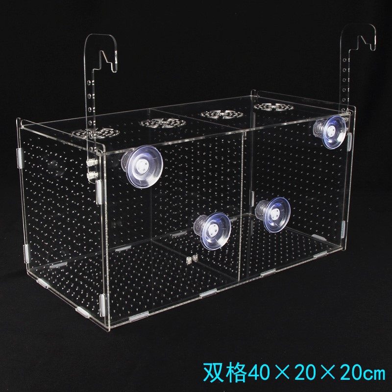 [USD 11.80] Small aquarium egg turtle turtle turtle seedlings hatching ...