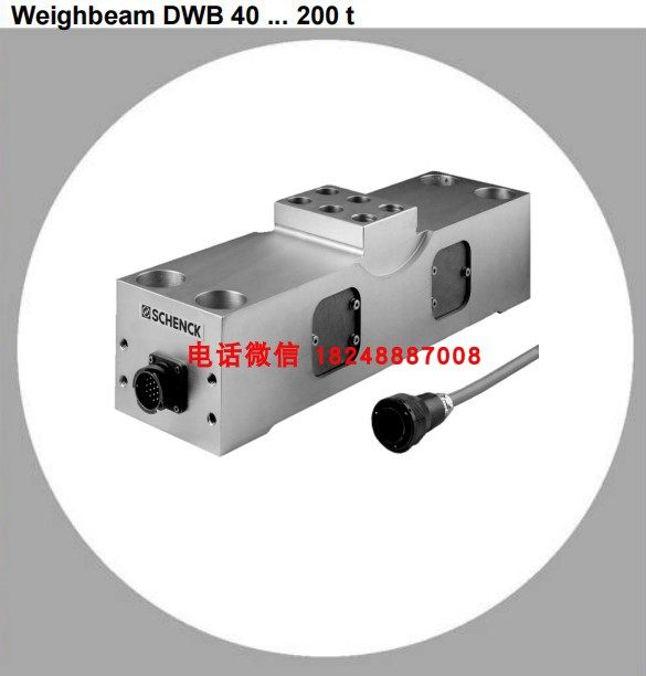 SCHENCK F020401.01/FGA20-RSLE，工业测量仪器新宠？🌟深度解读-手柄充电器-淘宝好物网