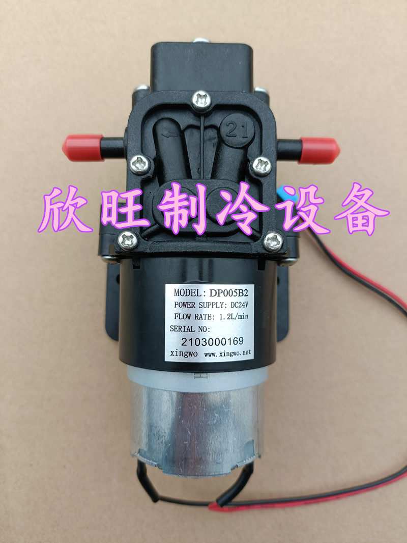 隔膜泵自吸泵DP005B2水泵油泵DP005A2小型抽水泵微型DC12/24V
