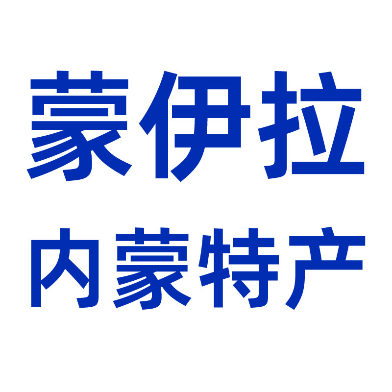 蒙伊拉内蒙特产风干牛肉