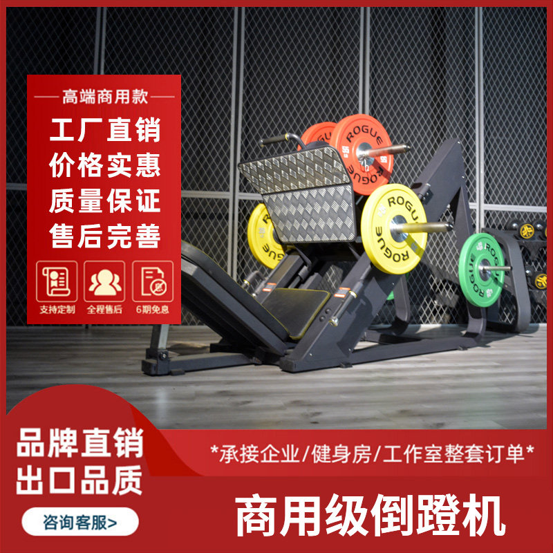 Recline machine + forward pedal flexion and extension + hack squat all ...