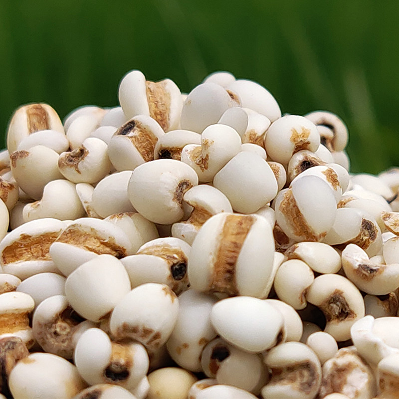 [USD 23.96] New cargo of small coic millet Chinese medicine Yunnan ...