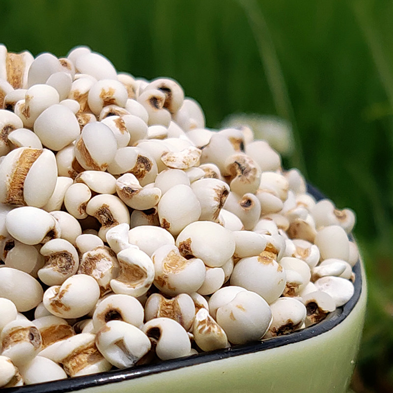 [USD 23.96] New cargo of small coic millet Chinese medicine Yunnan ...