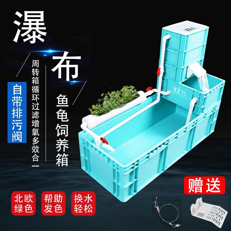 Scandinavian green waterfall filtered turtle tank: create your own ...