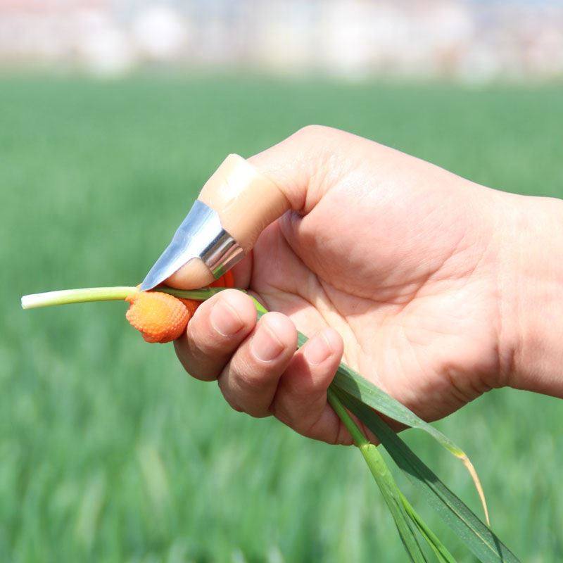 [USD 8.14] New pick-up fruit god-tailer pepper picker picker special ...