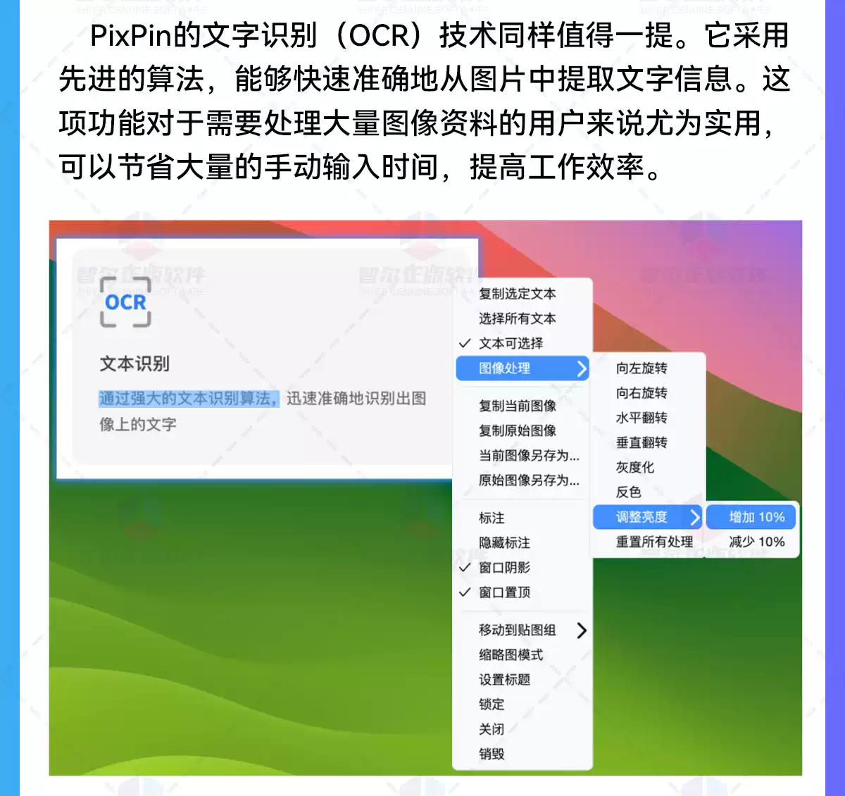 PixPin终身授权激活码萤幕截图OCR软体图片文字识别与翻译工具