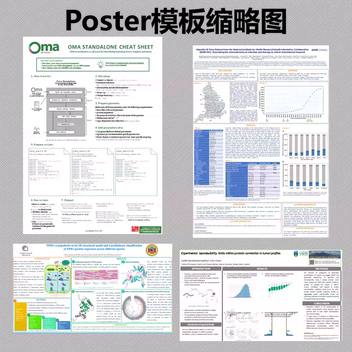 精美学术会议poster海报壁报墙报PPT模板20个