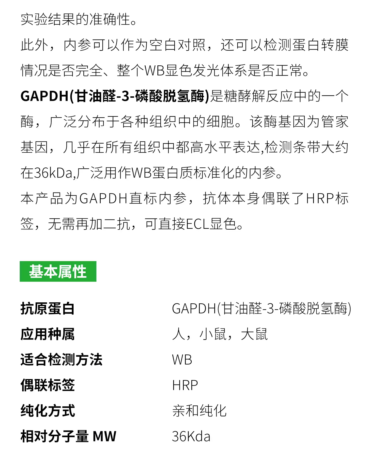 赛维尔 GAPDH 直标内参抗体 HRP偶联 WB无需二抗 直接ECL显色