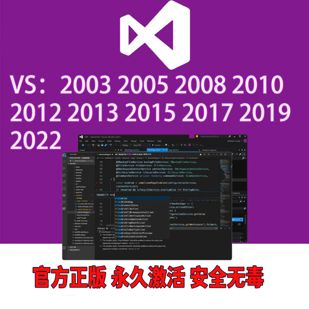 程序员必备神器！Visual Studio系列从2003到2022，你pick哪一款？-电脑软件-淘宝好物网