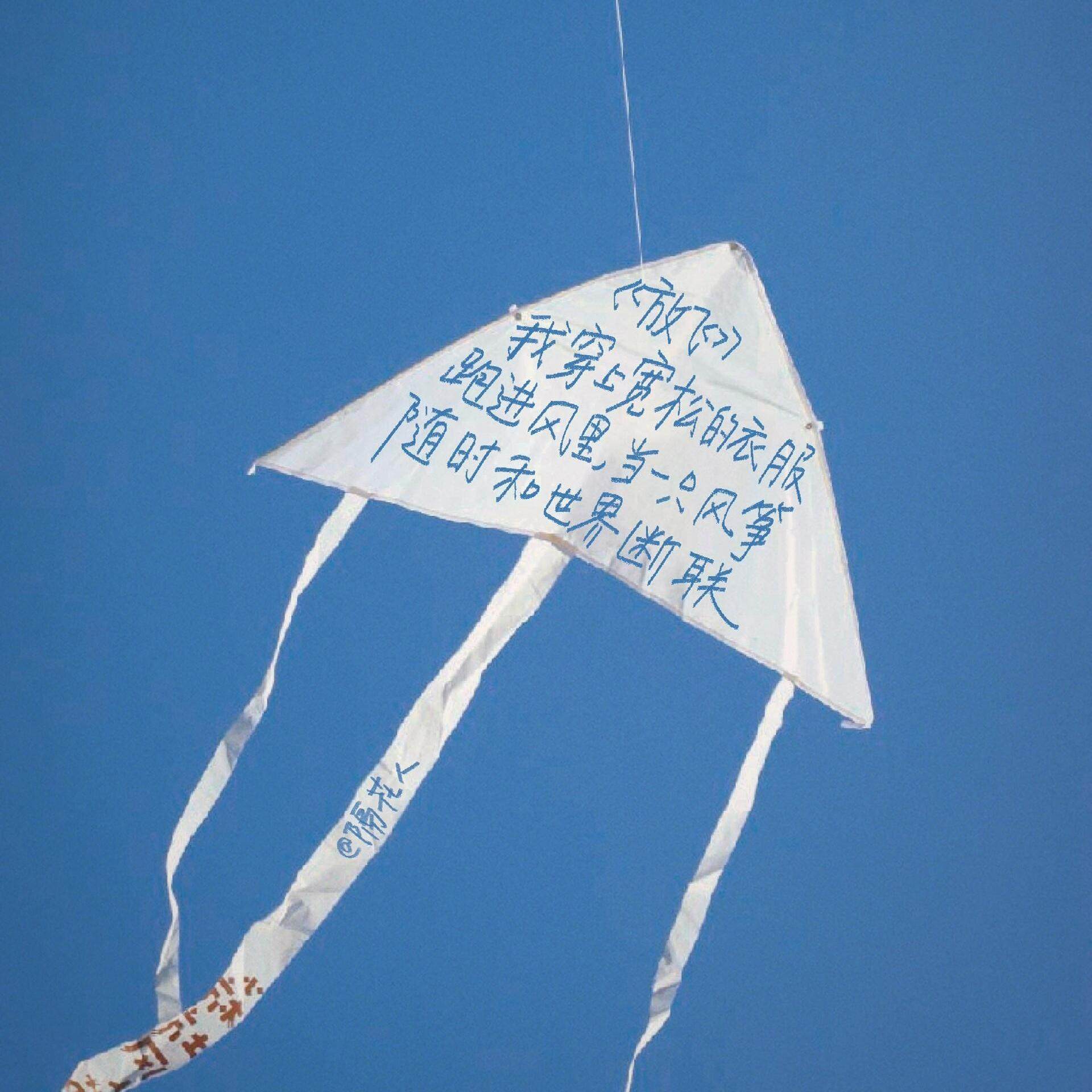 Diy kite kit 2025 new release: easy to fly in light breezes + blank ...