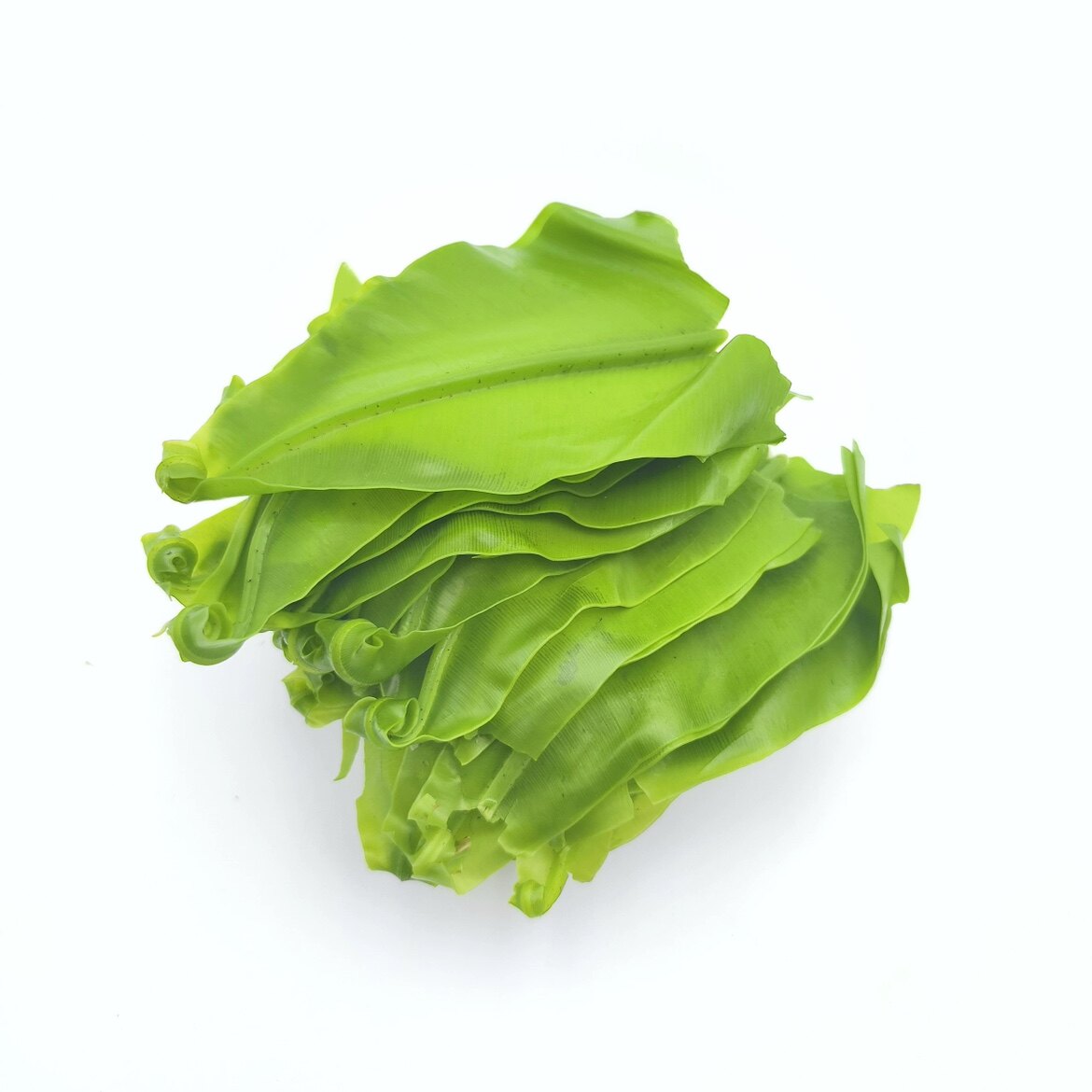 广州寳哥生鲜食材配送
