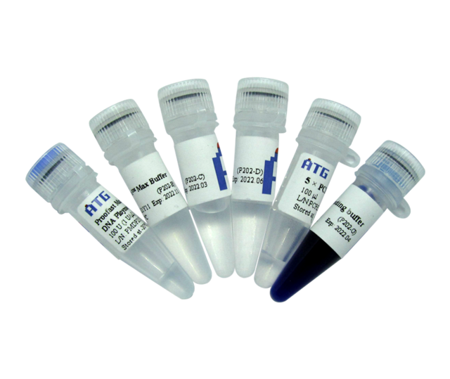 ATG:高保真DNA聚合酶: P202: Max Super-Fidelity DNA Polymeras