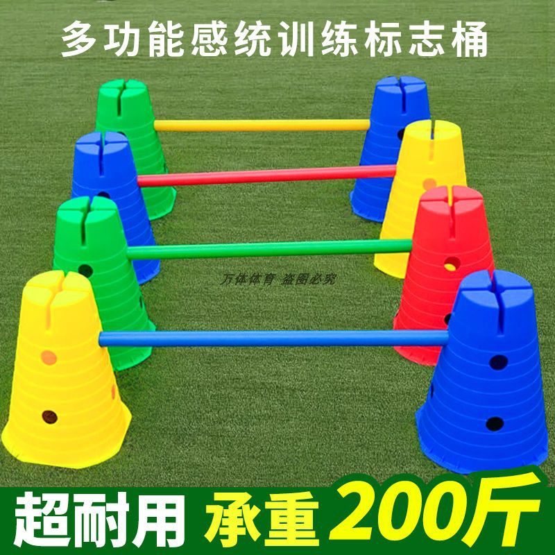 What is the role of sensory integration training logo buckets with ...