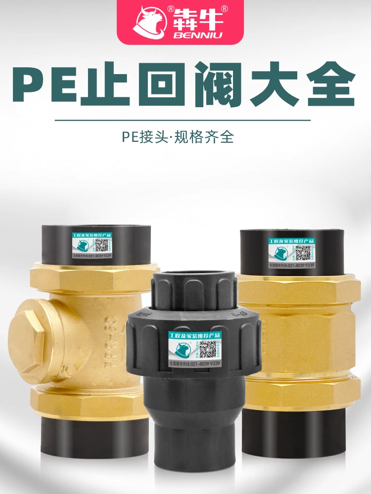 Pe backwater check valve one-way valve check valve 32 water pump ...