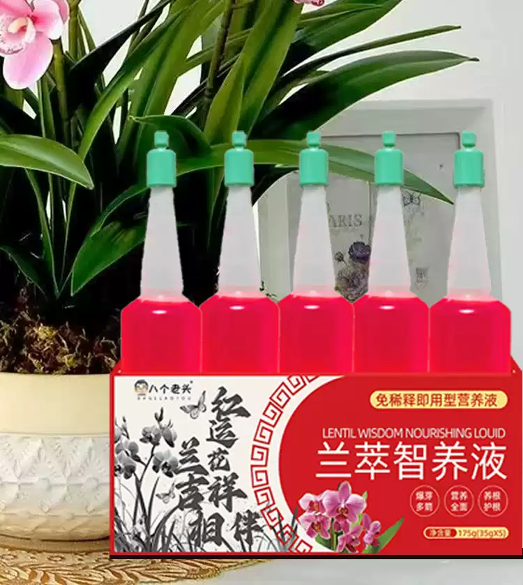八个老头兰萃智养液兰花专用营养扦插肥料君子蝴蝶兰盆栽养花175g