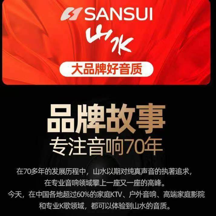 SANSUI音响店