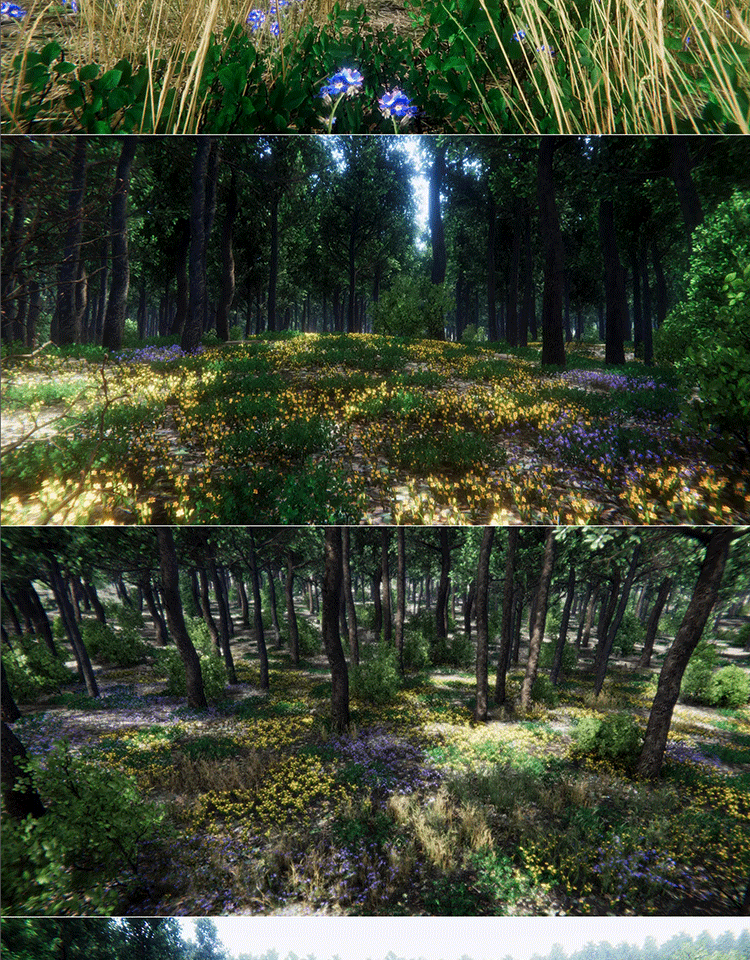Unity3D写实橡树林森林场景U3D植物灌木花草Forest Environment - 场景模型 - 绘图狗-设计灵感素材集散地