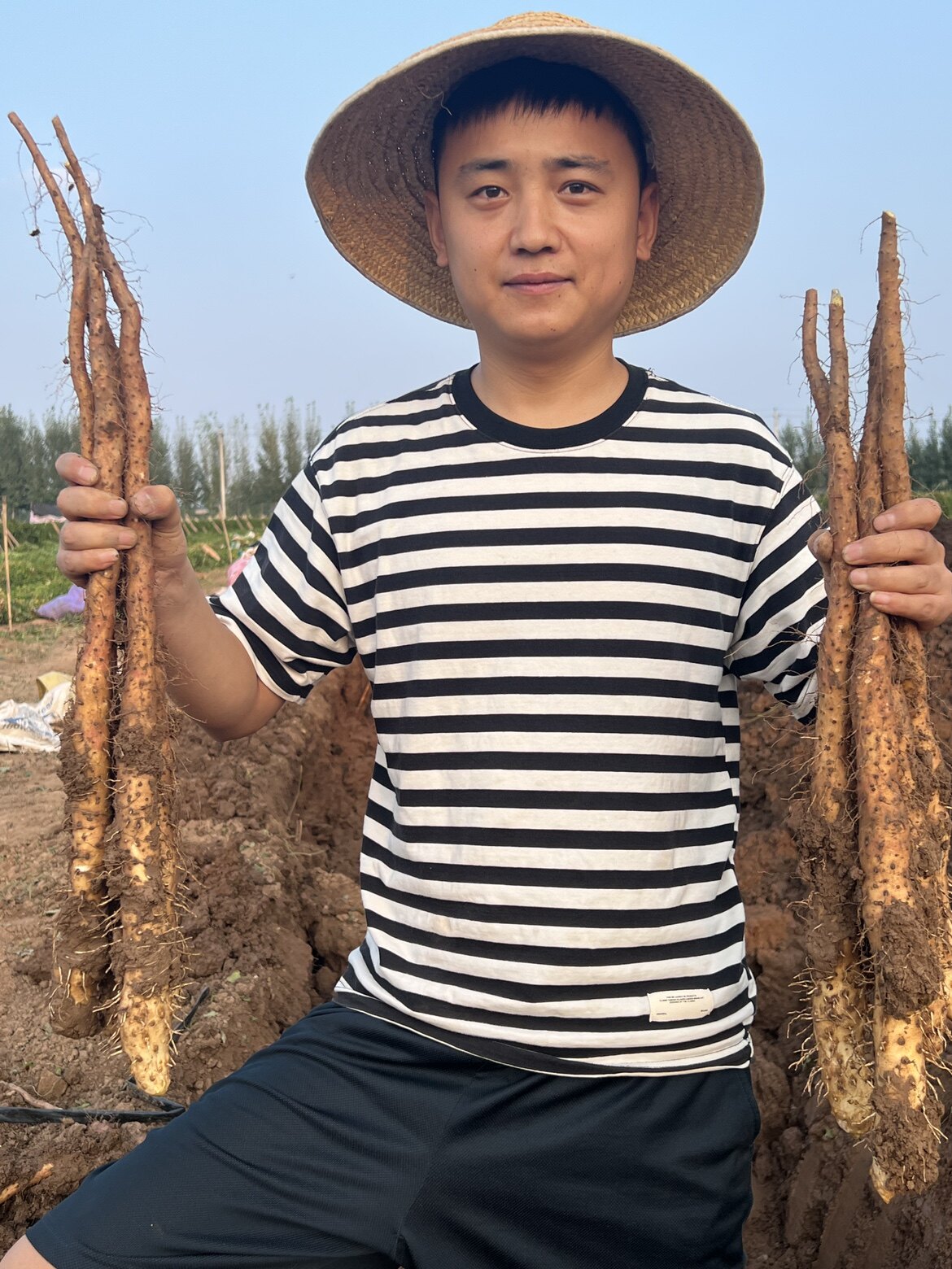 怀庆府温县铁棍山药特产店