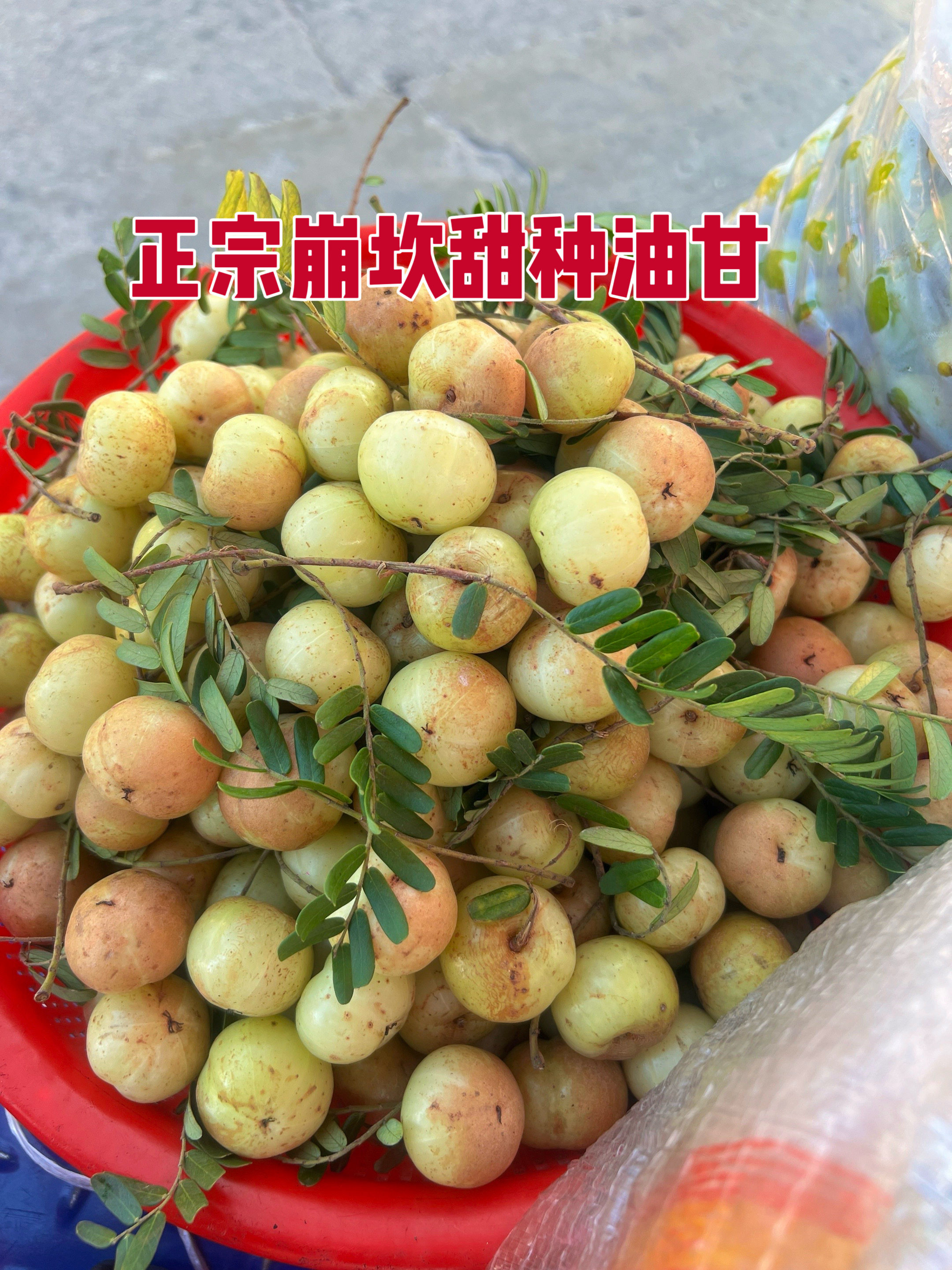 潮汕三农副食品批发
