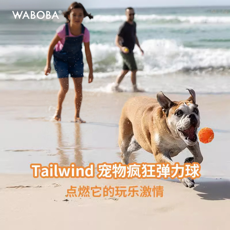 Waboba狗狗高弹球 & Tailwind耐咬磨牙飞盘：给你的爱宠一场极限运动盛宴！-极限飞盘-淘宝百科网