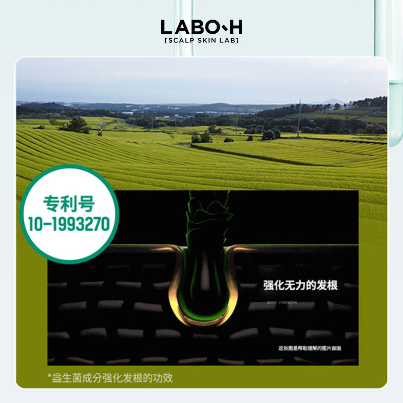 控油蓬松新神器！LABOH苒博H洗发水，告别油腻，清爽一夏！-洗发水-淘宝好物网