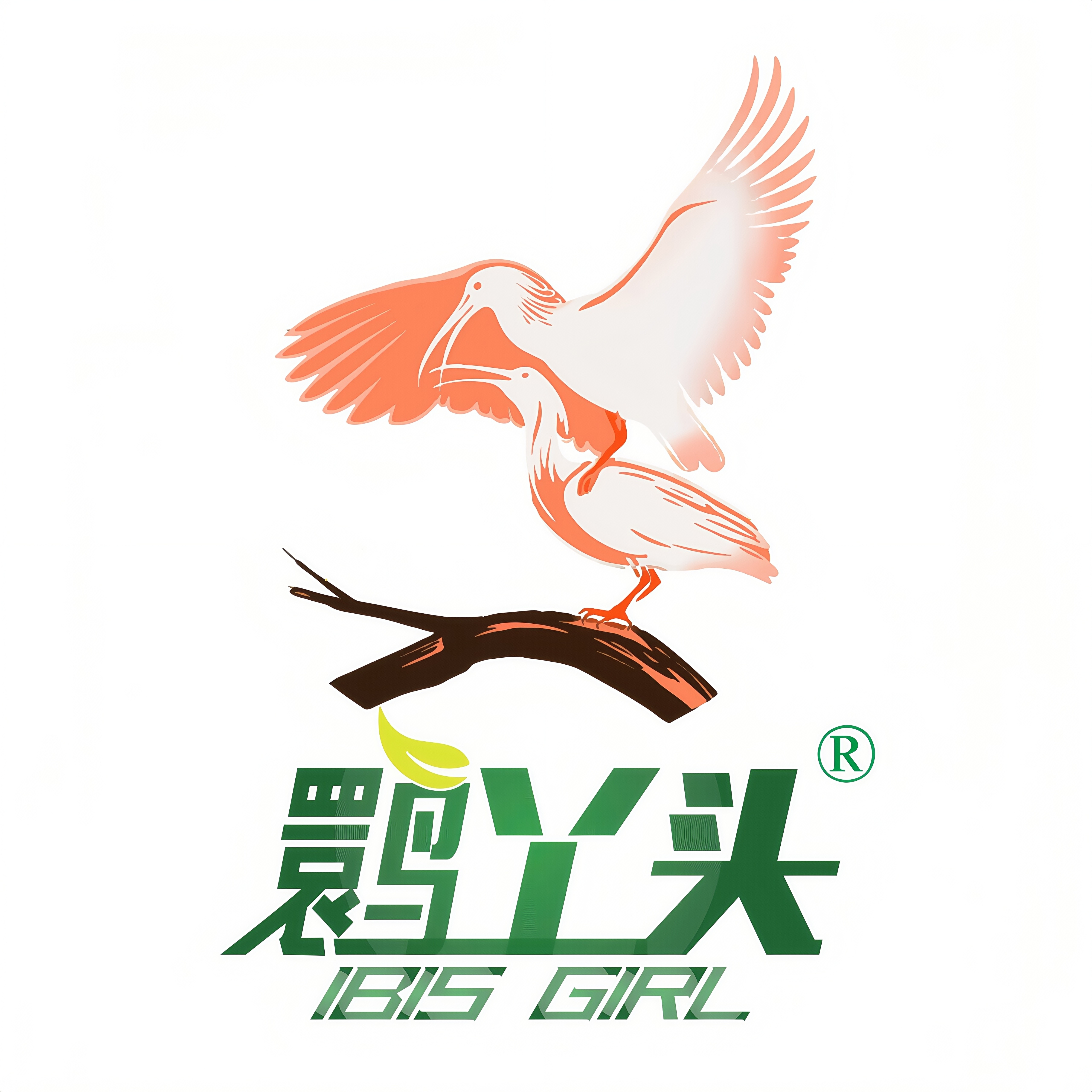 鹮丫头有机食品官方店