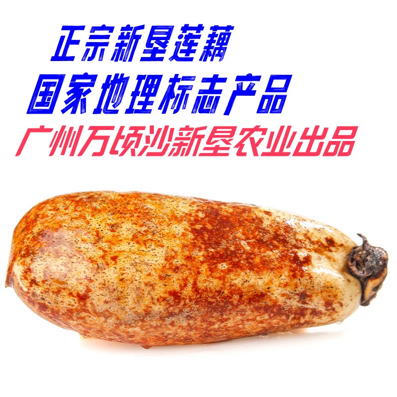 广州万顷沙新垦农业 (地标新垦莲藕厂商)