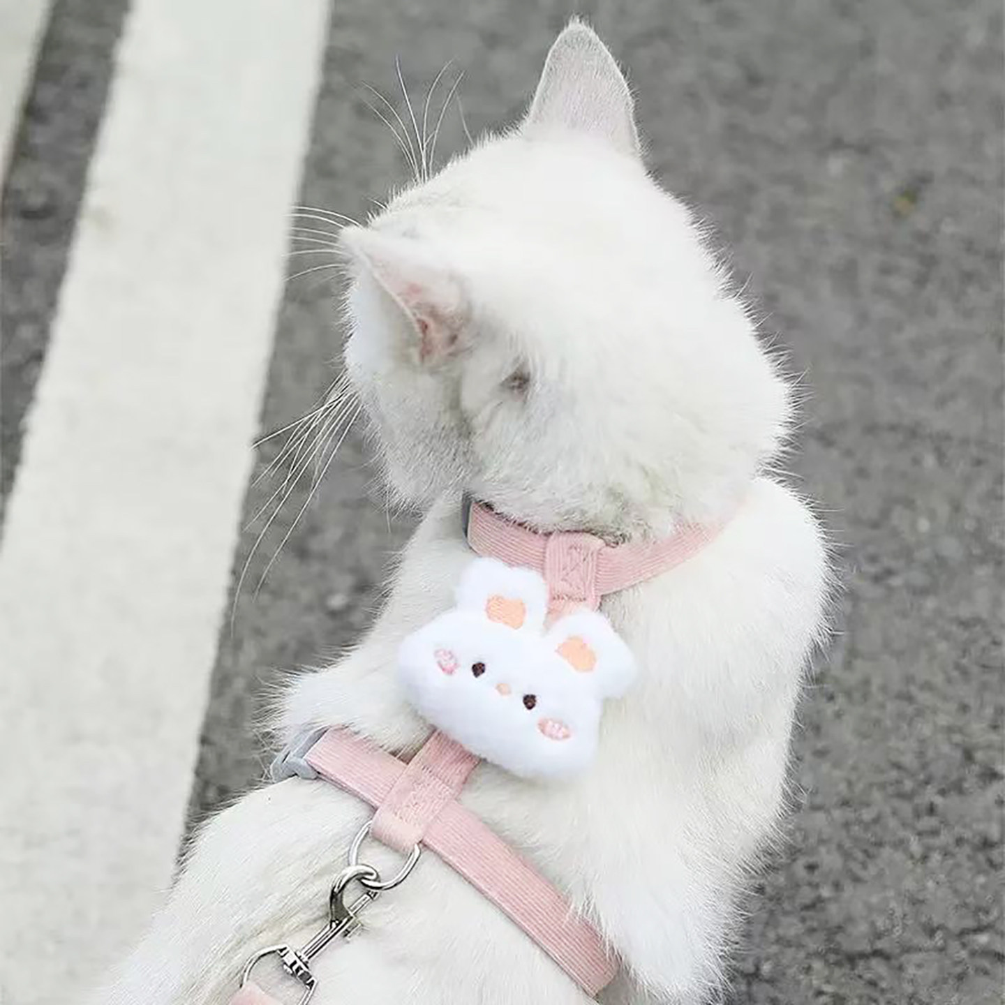 Cat leash, anti-breakout, special for going out, non-neck leash, cat ...