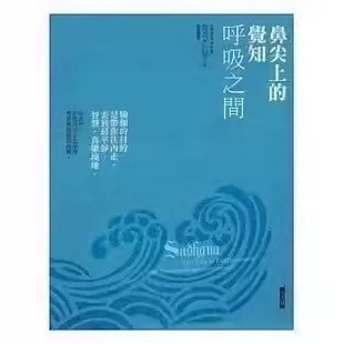 斯瓦米拉玛《鼻尖上的觉知：呼吸之间》，心灵觉醒的秘密武器？ 健康类原版书 淘宝好物网 6038