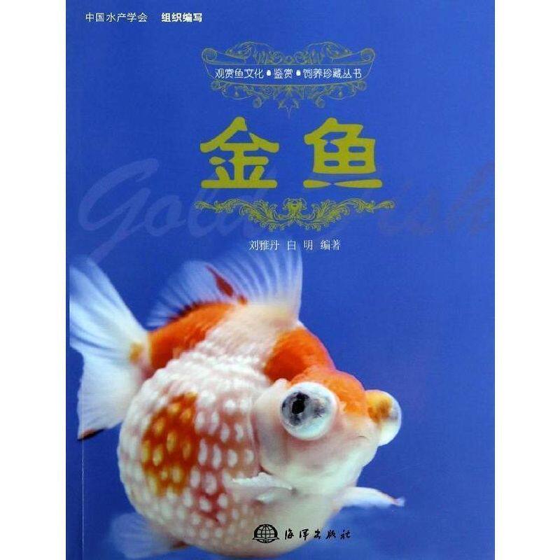 金鱼妹的秘密：为何她能游进我们的生活圈？ 生活 淘宝百科网