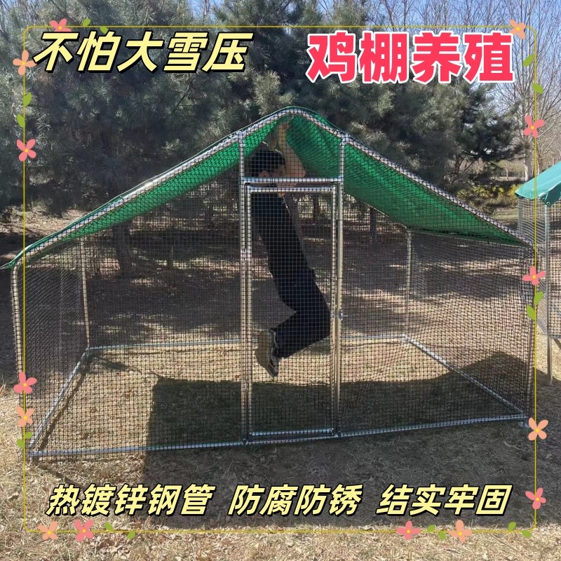 Awesome chicken rearing kit: build your dream chicken coop! 🏡