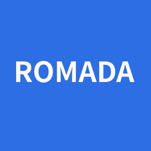 ROMADA新能源车充专供店