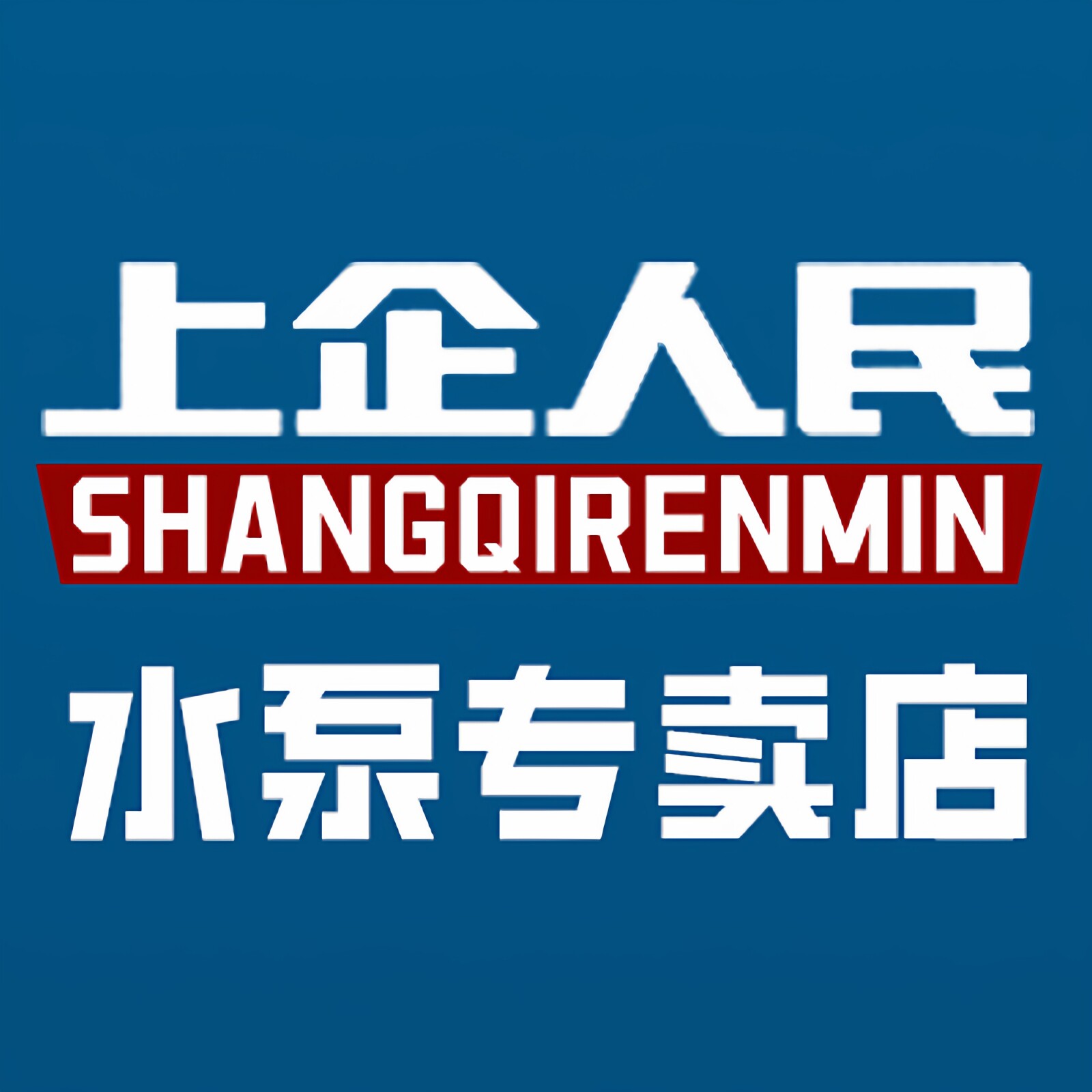 上企人民水泵辰译专卖店