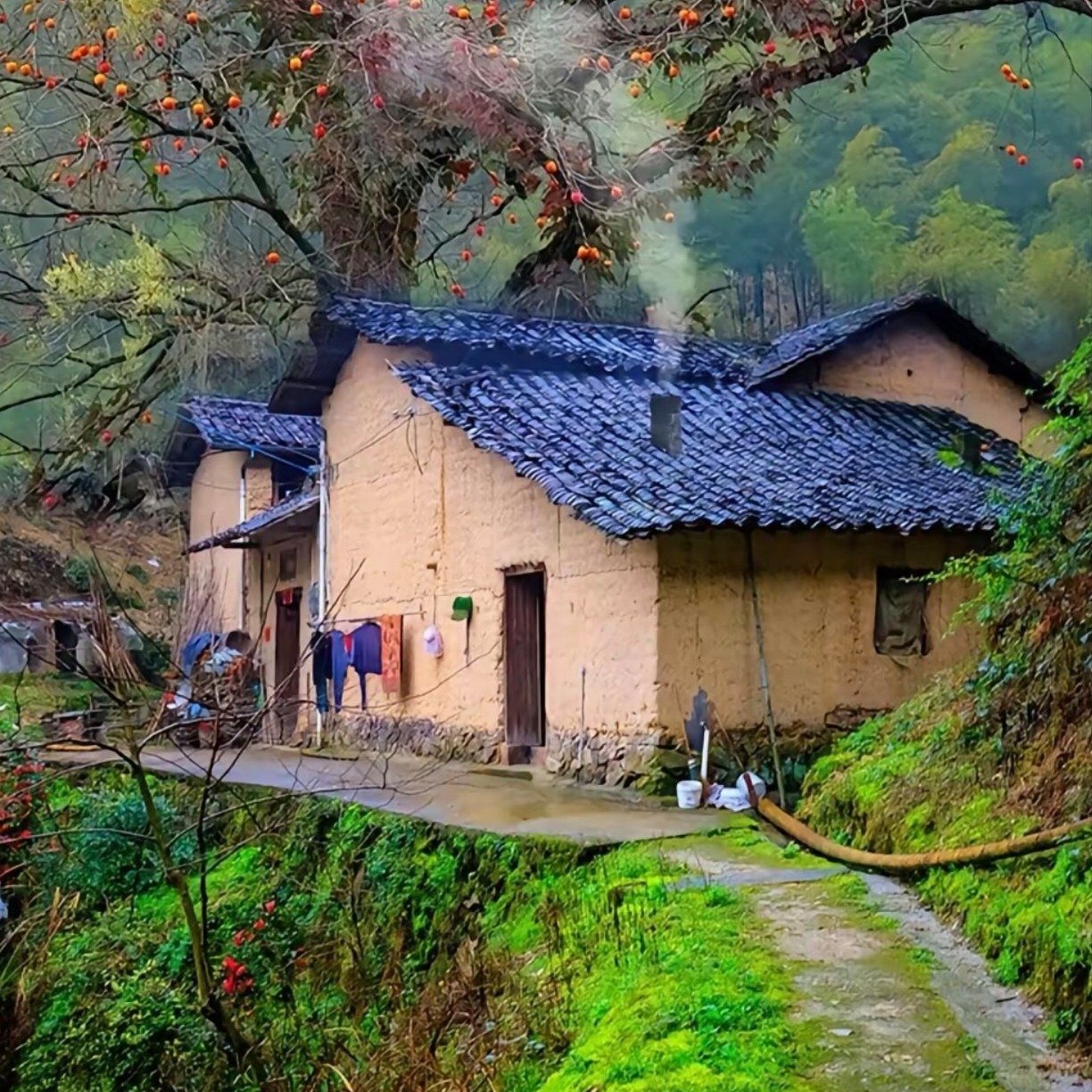 赣南山货农家直卖