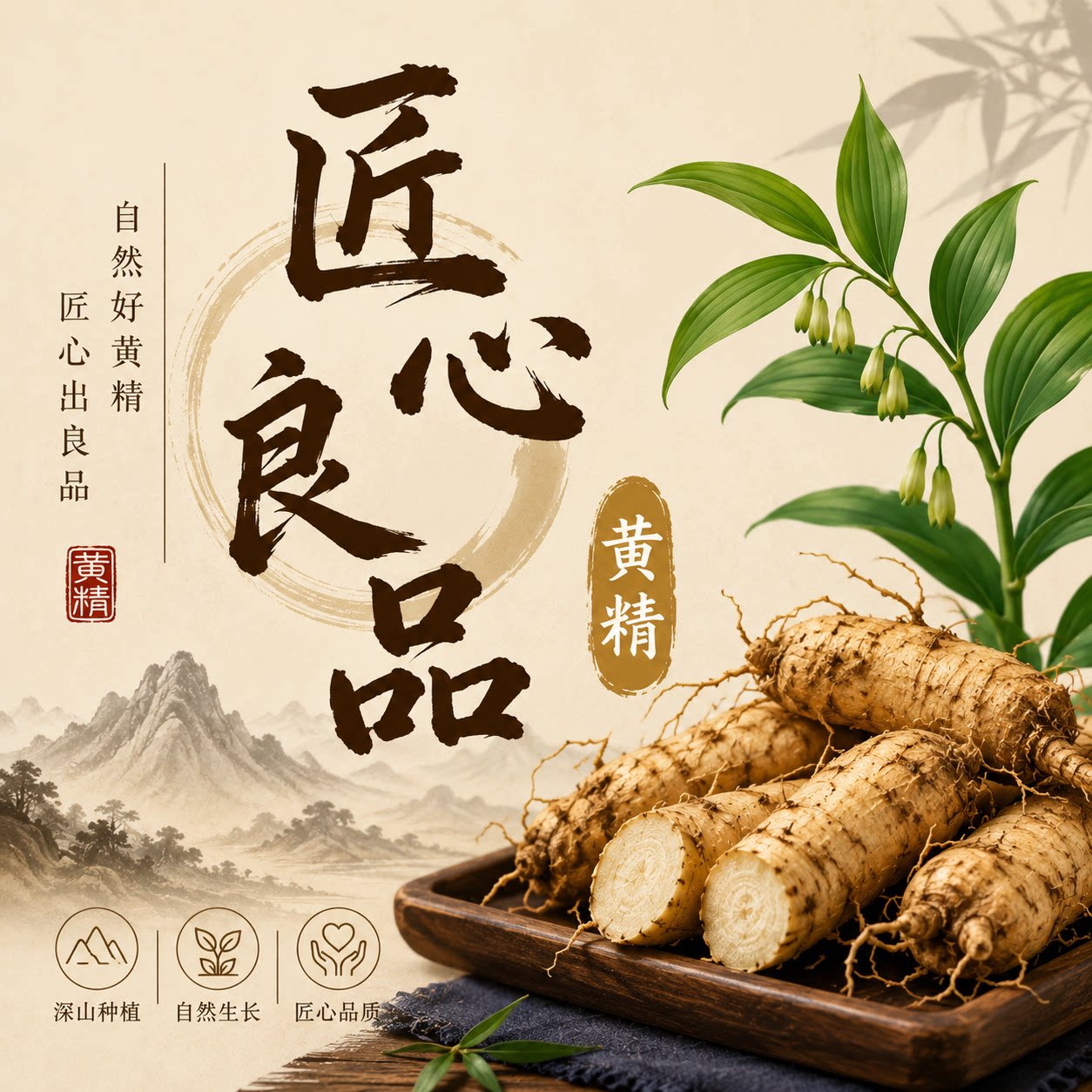 匠心良品甄选