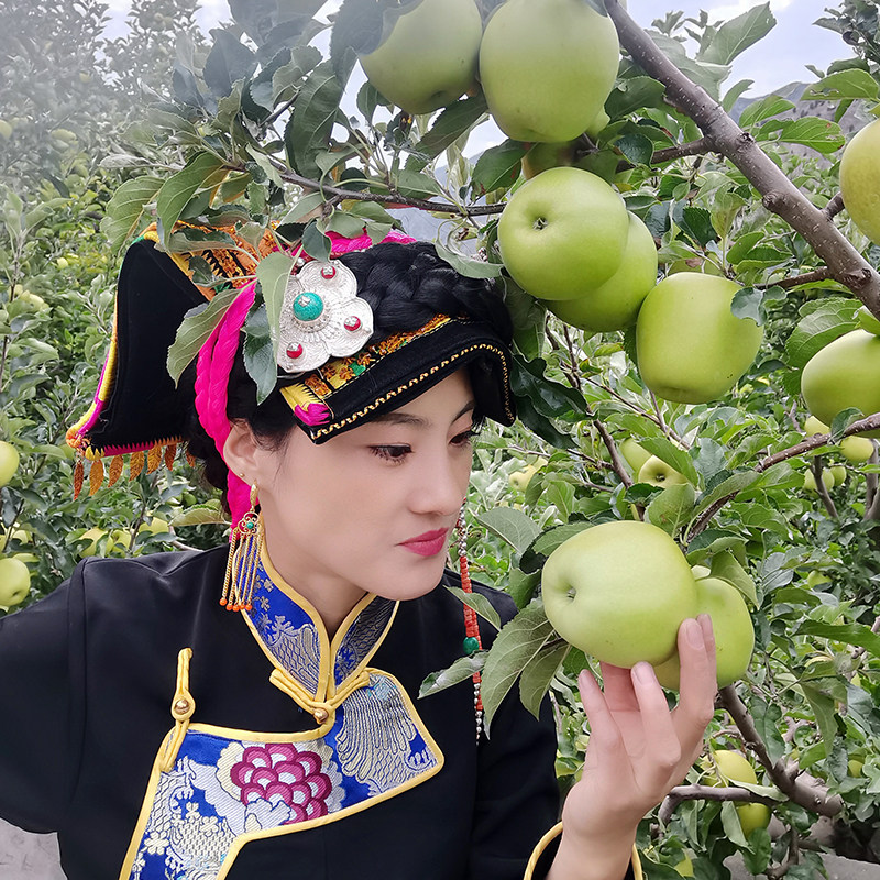 阿坝州小金苹果